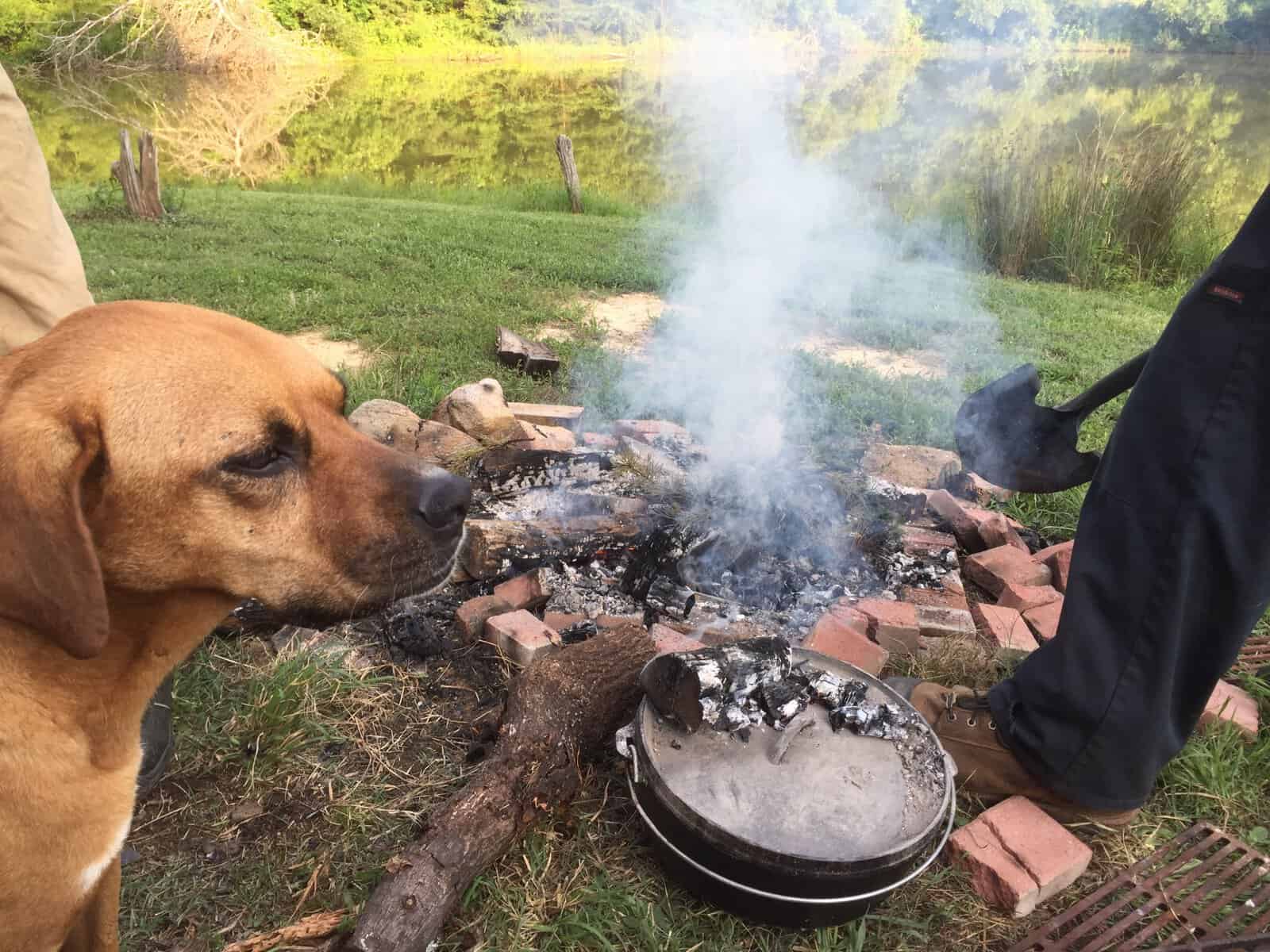 Dutch Oven Cooking in the Campfire! – Ridge Haven Homestead