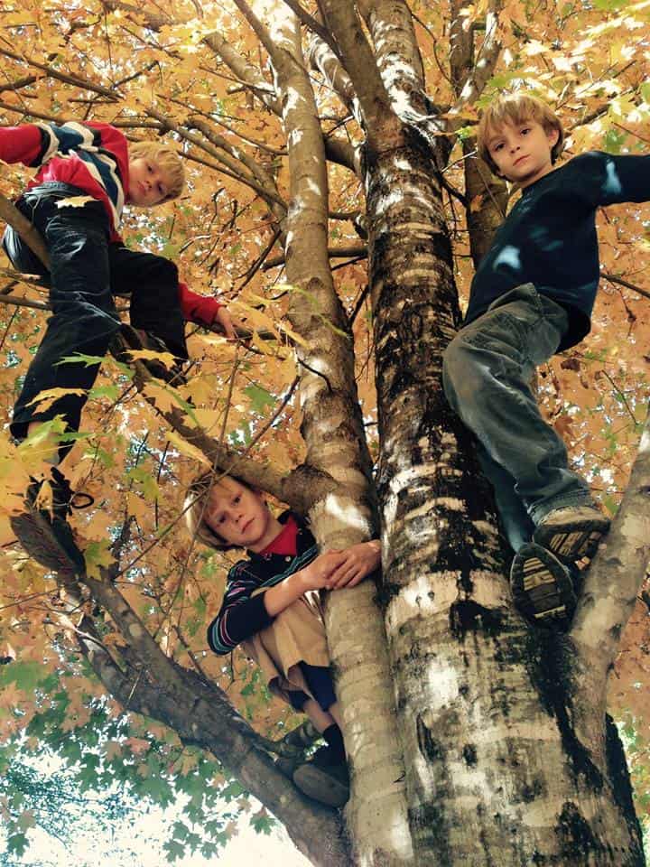 Friday Friendship Feature #7-Educational Philosophy - Ridge Haven Homestead