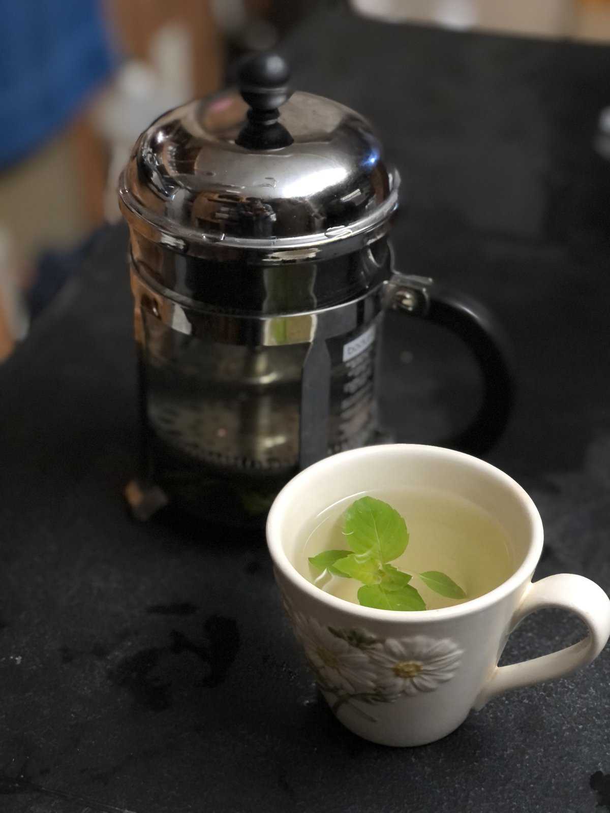 Using a French Press for Herbal Tea - Ridge Haven Homestead