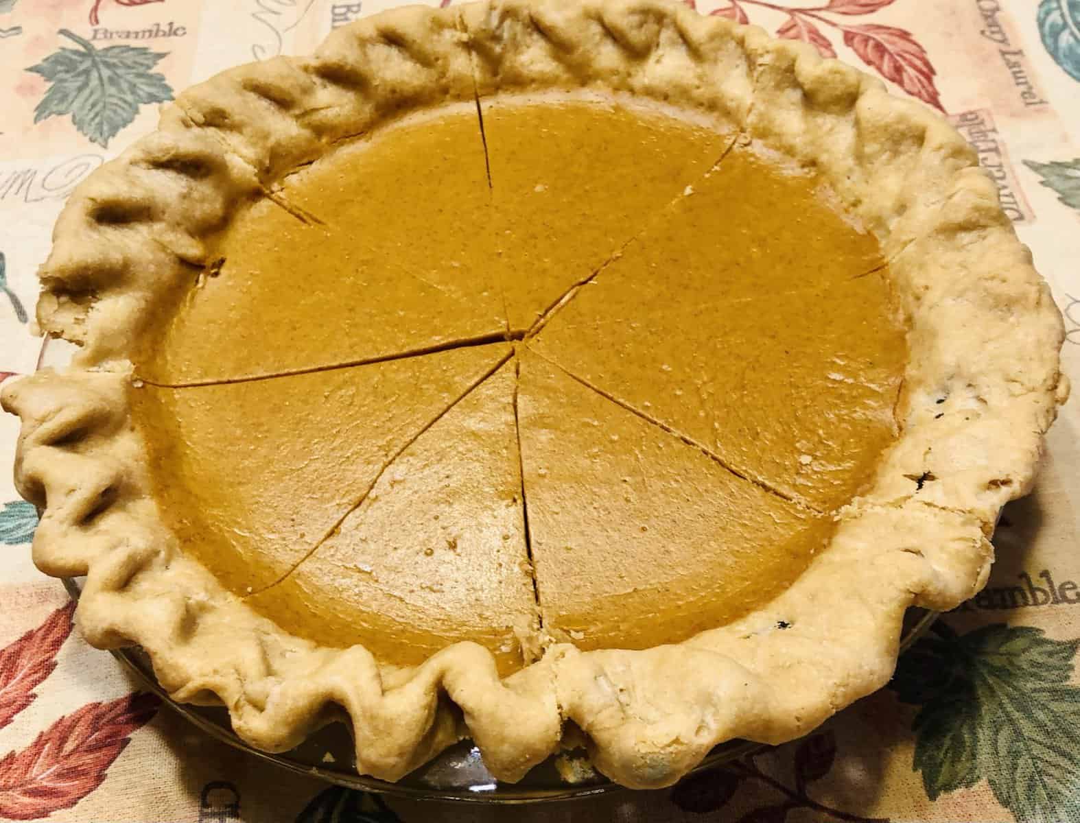 Growing North Georgia Candy Roaster Squash - Ridge Haven Homestead