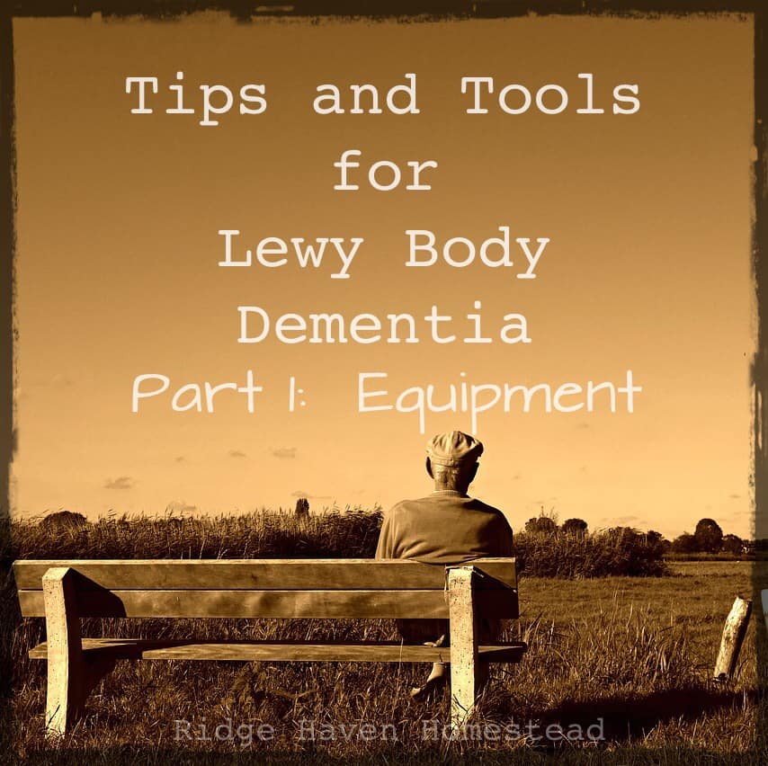 Tips And Tools For Lewy Body Dementia Later Stages Part One