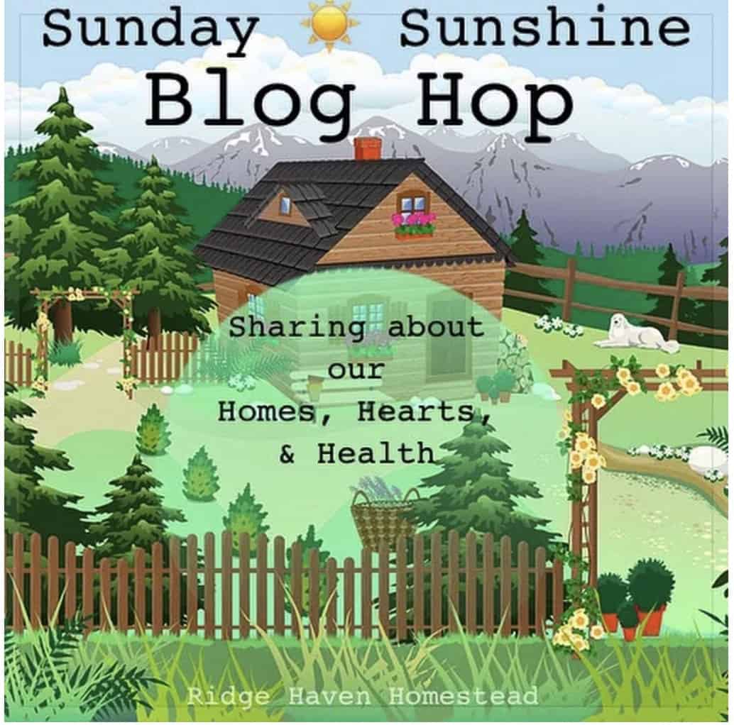 Good-Bye Sunday Sunshine Blog Hop - Ridge Haven Homestead
