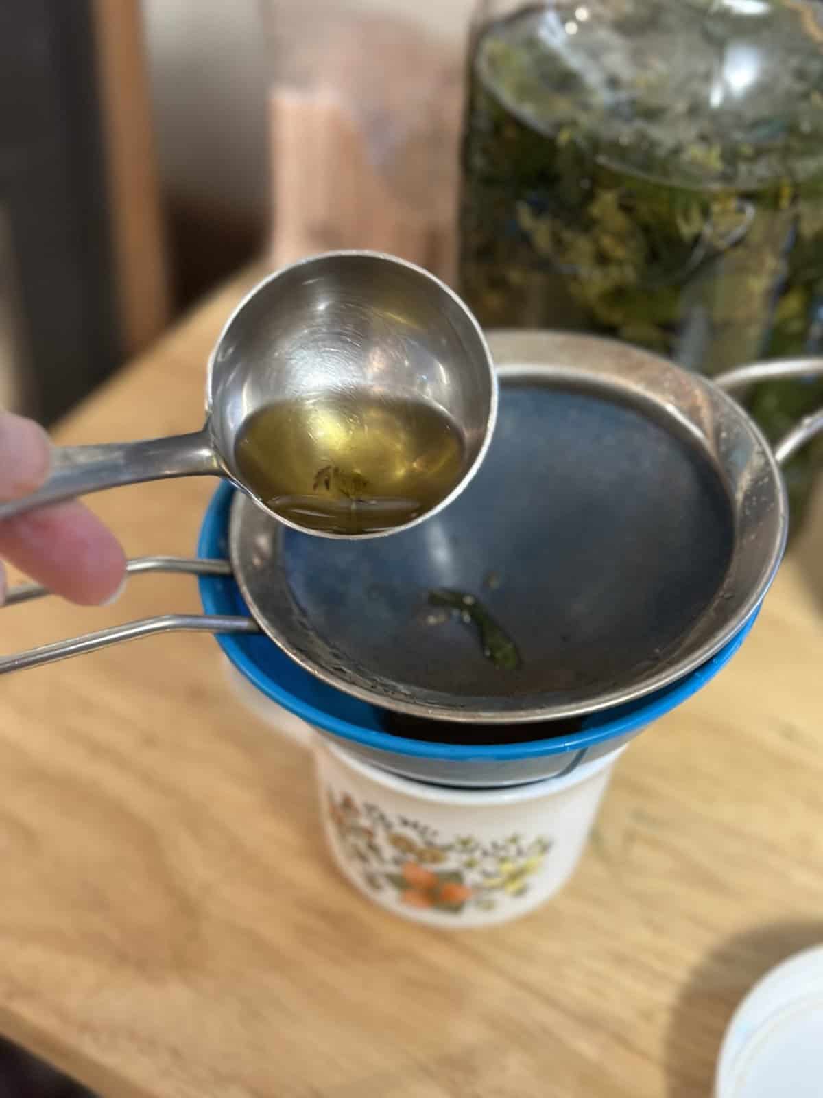 Anise Hyssop Leaves for Refreshing Herbal Iced Tea – Ridge Haven Homestead