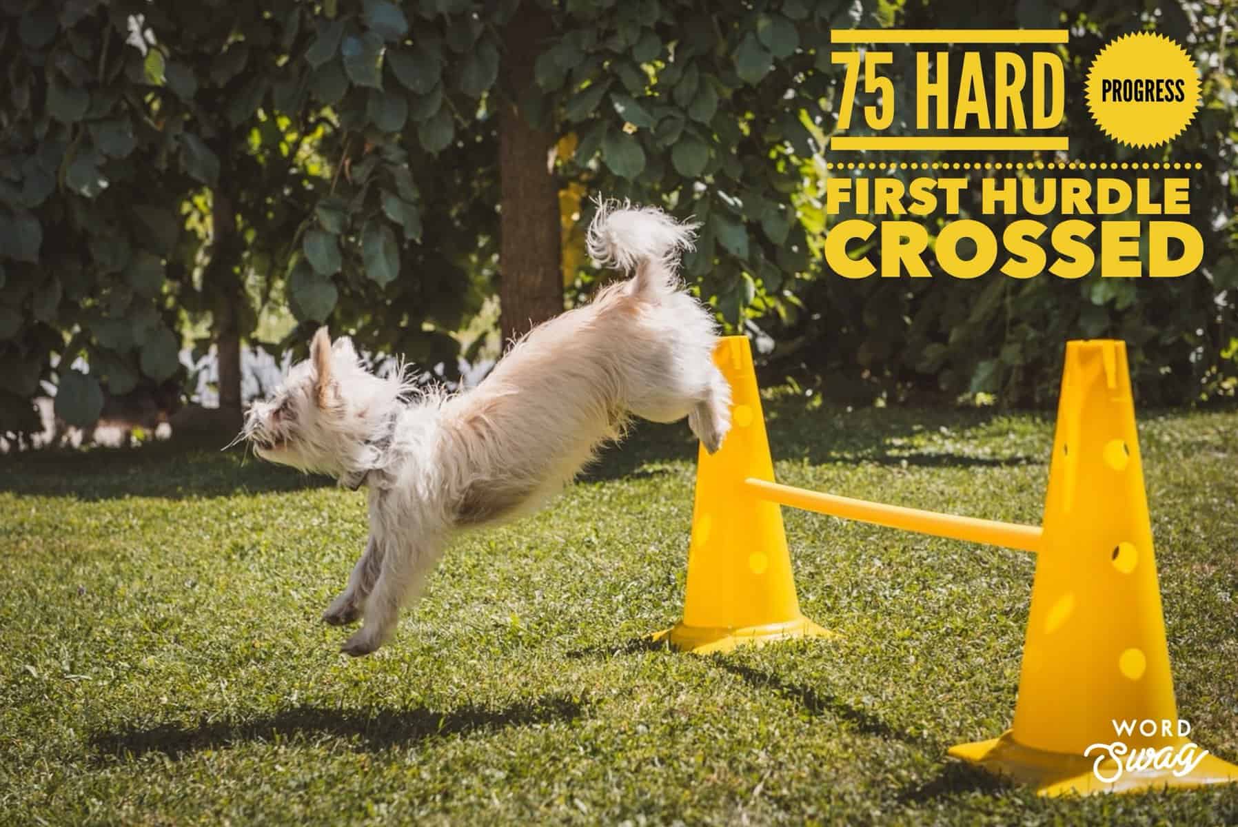 75 Hard Progress. First Hurdle Crossed – Ridge Haven Homestead