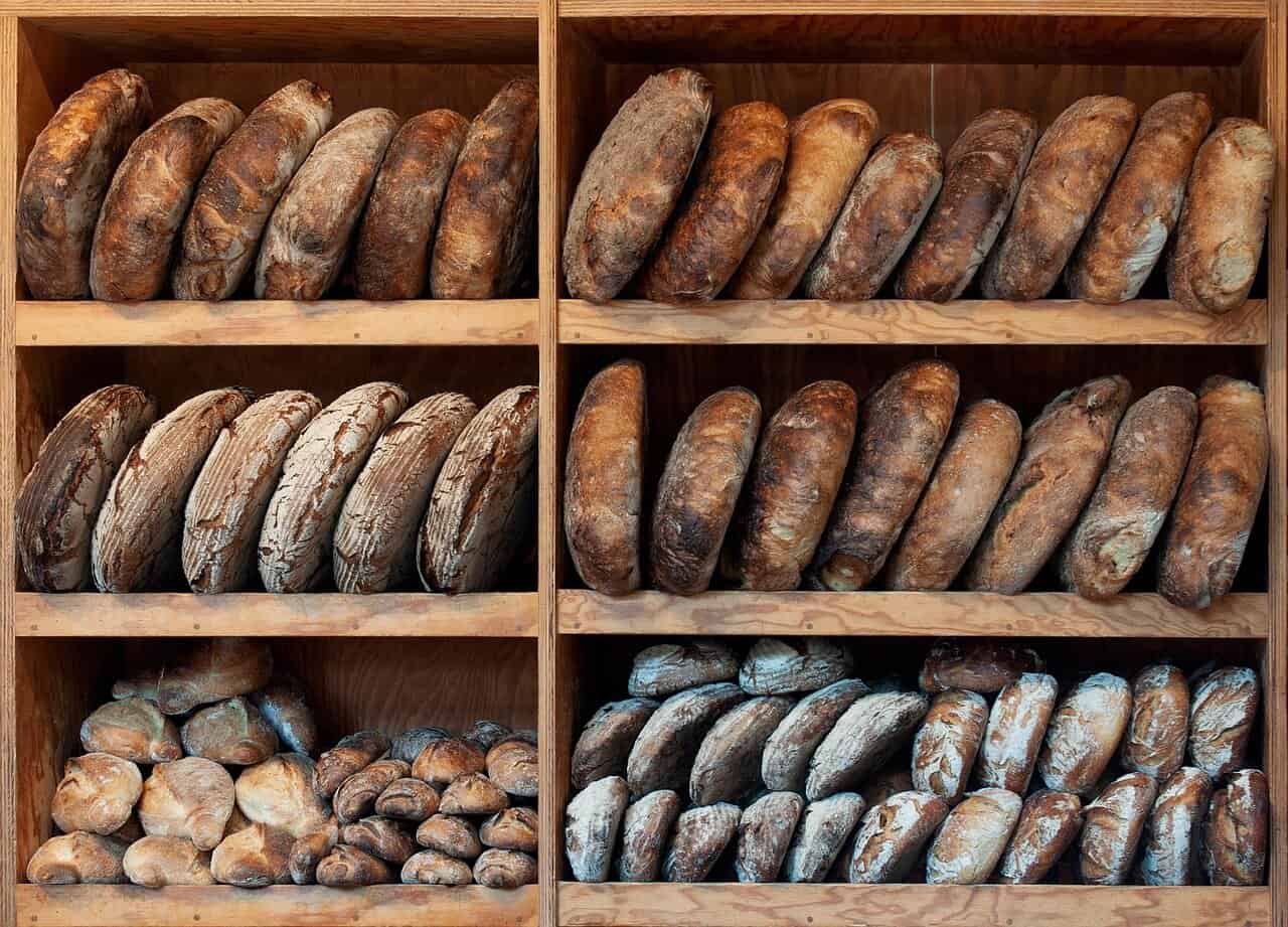Bread Baking & Growing Sprouts Indoors – Ridge Haven Homestead