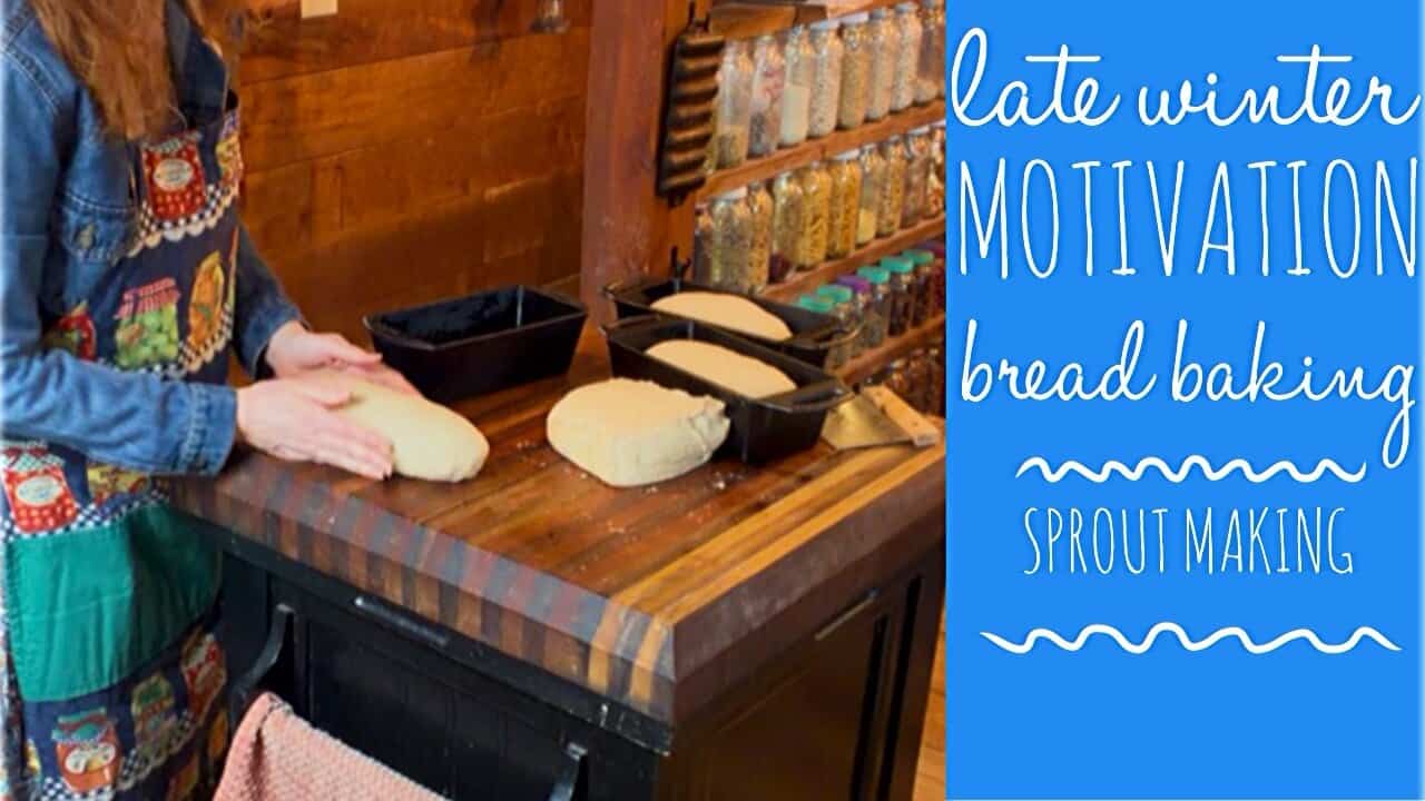 Bread Baking & Growing Sprouts Indoors – Ridge Haven Homestead